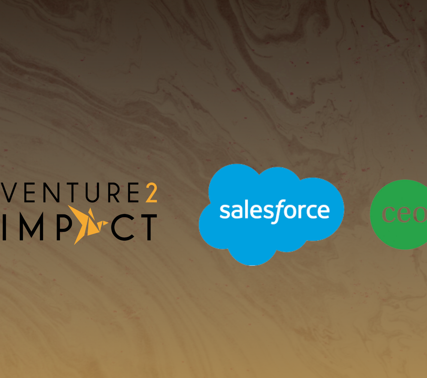 CEO Case Study; - Venture2Impact